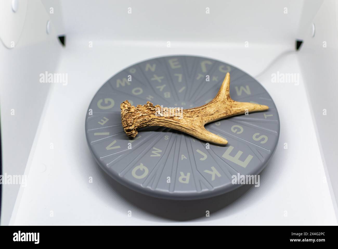 Preparation of a 3d scanner for an object, working the file on a ...
