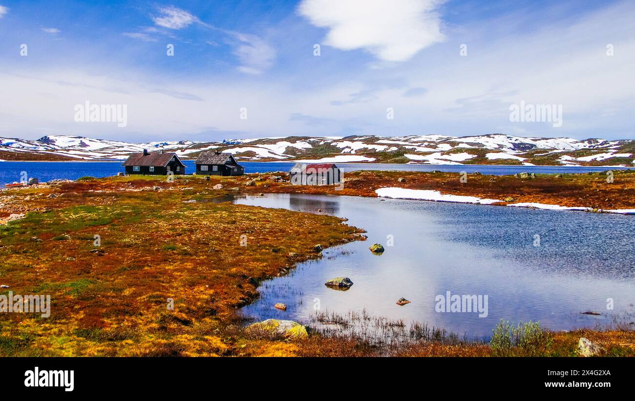 Old wooden houses stand alone isolated in the field surrounded by blue ...