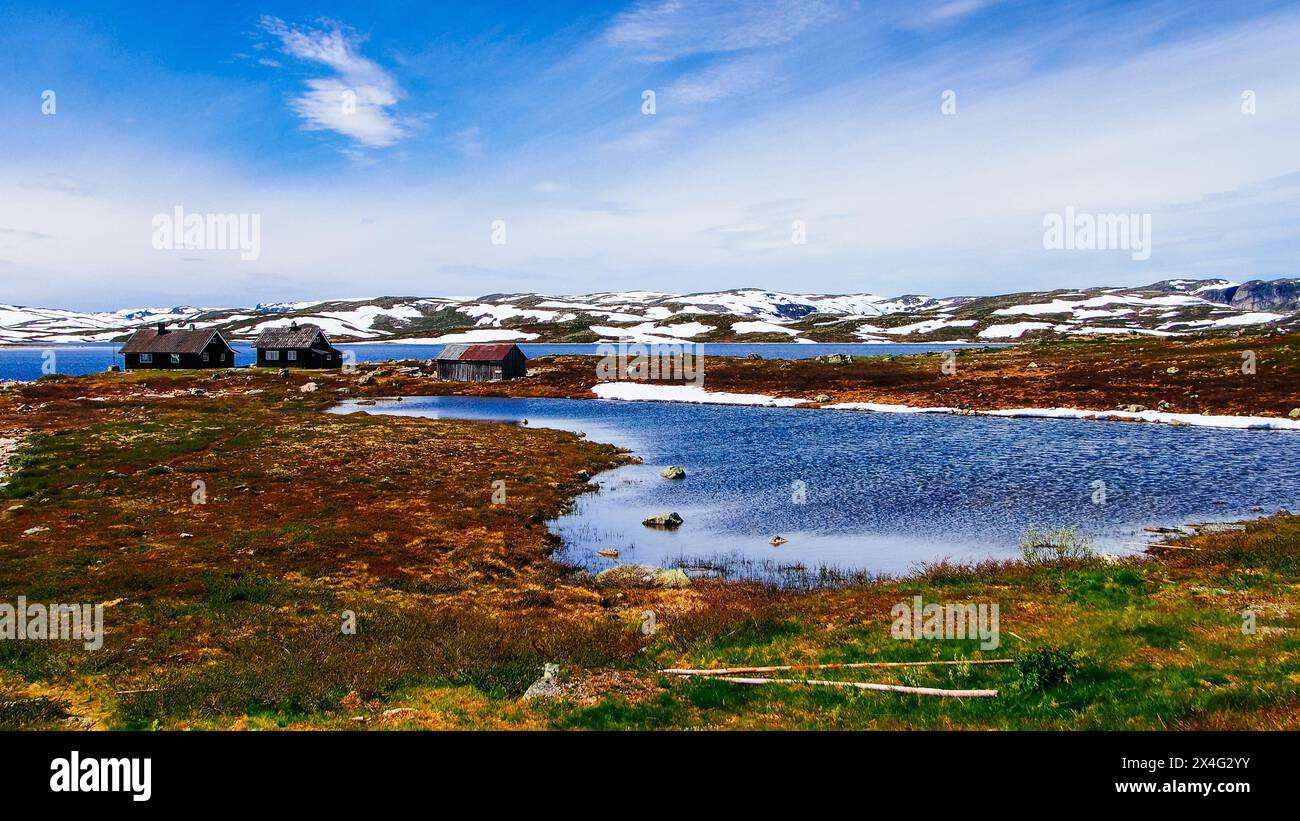 Old wooden houses stand alone isolated in the field surrounded by blue ...
