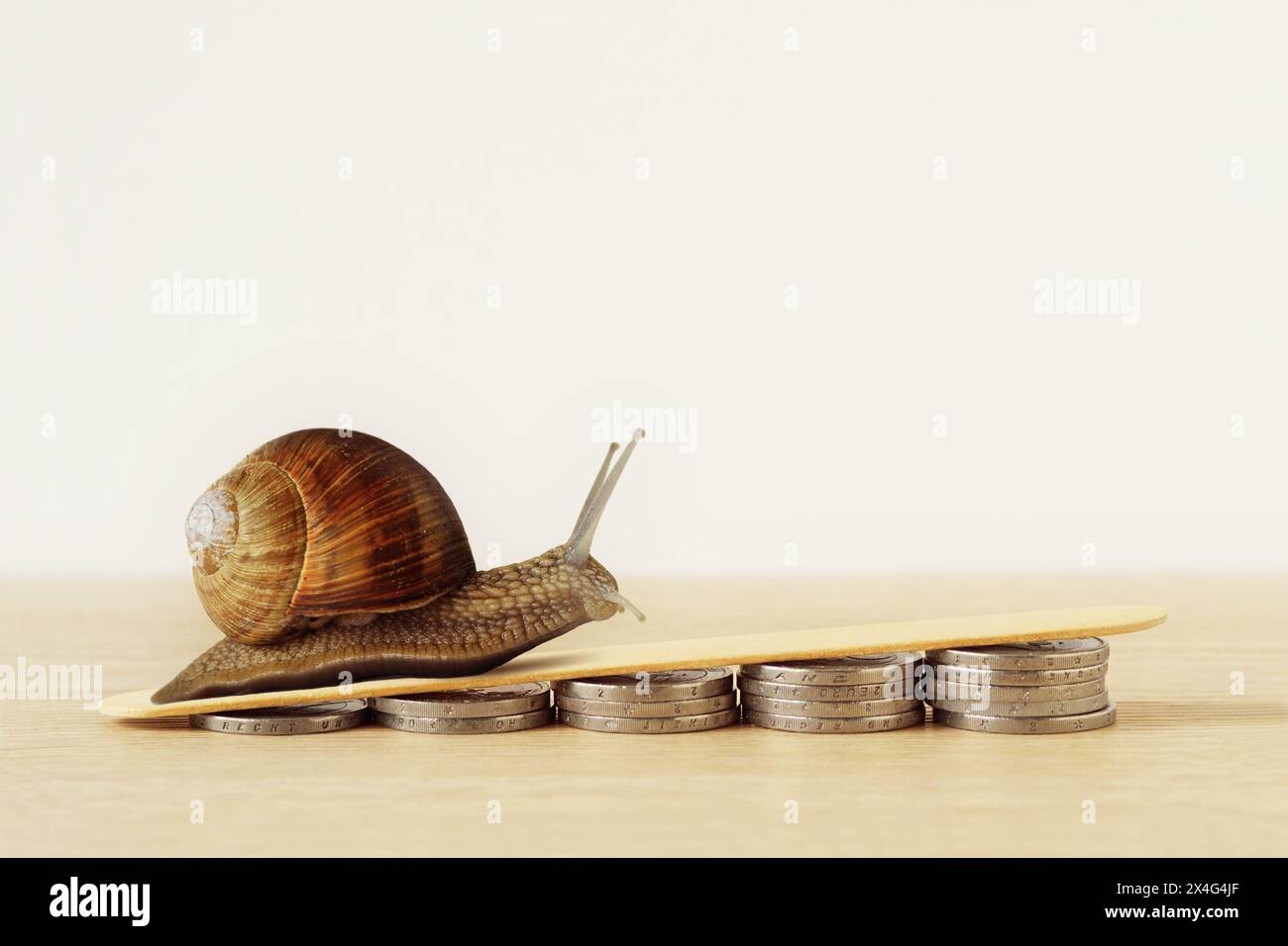 Snail climbing pile of coins - Concept of slow economic growth Stock ...