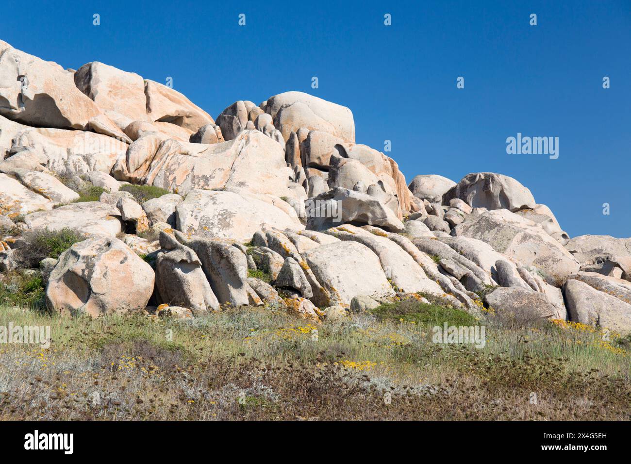 Lavezzi Islands Nature Reserve, Corse-du-Sud, Corsica, France. Huge ...