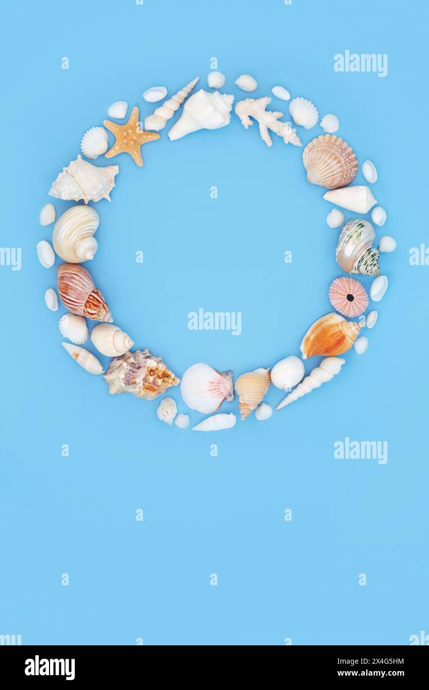 Sea shell abstract wreath on pastel blue background. Large collection ...
