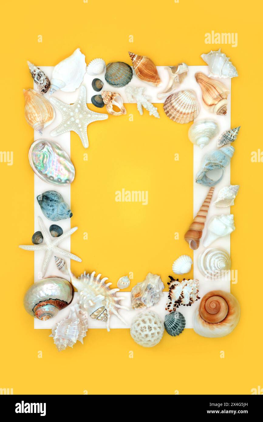 Exotic seashell background border with assorted shells on yellow ...