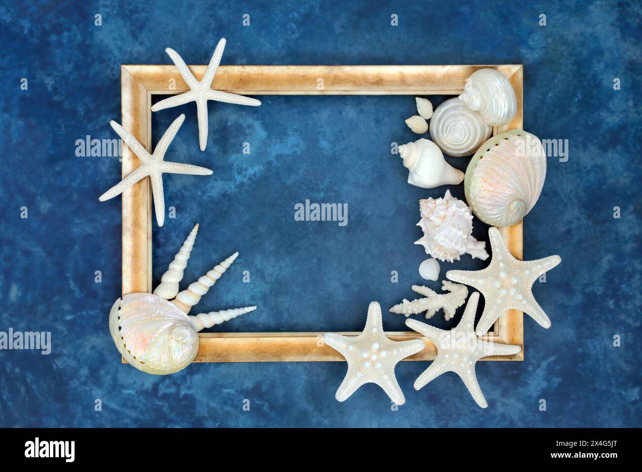 Seashell abstract with white shells on mottled blue background with ...