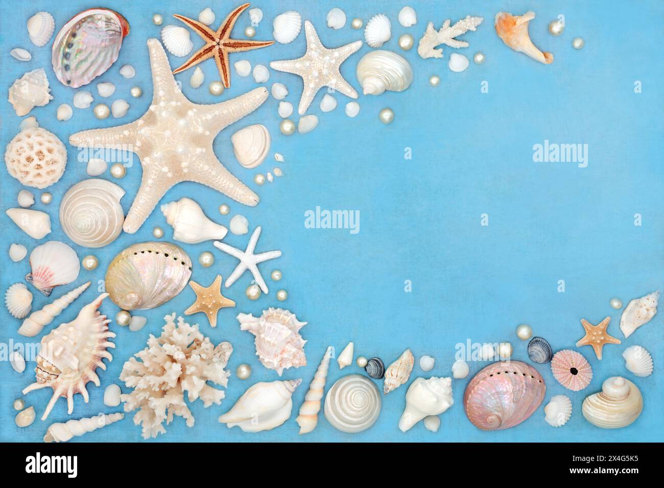Seashells and pearls background border on rustic mottled blue. Natural ...