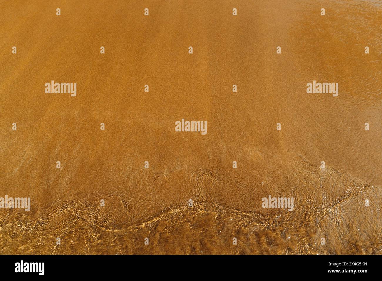 sandy beach with waves rolling in, creating a beautiful natural ...