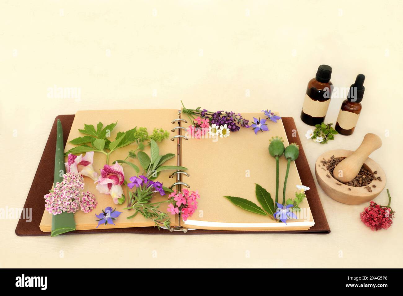 Preparing aromatherapy essential oil with flowers, herbs, wildflowers ...