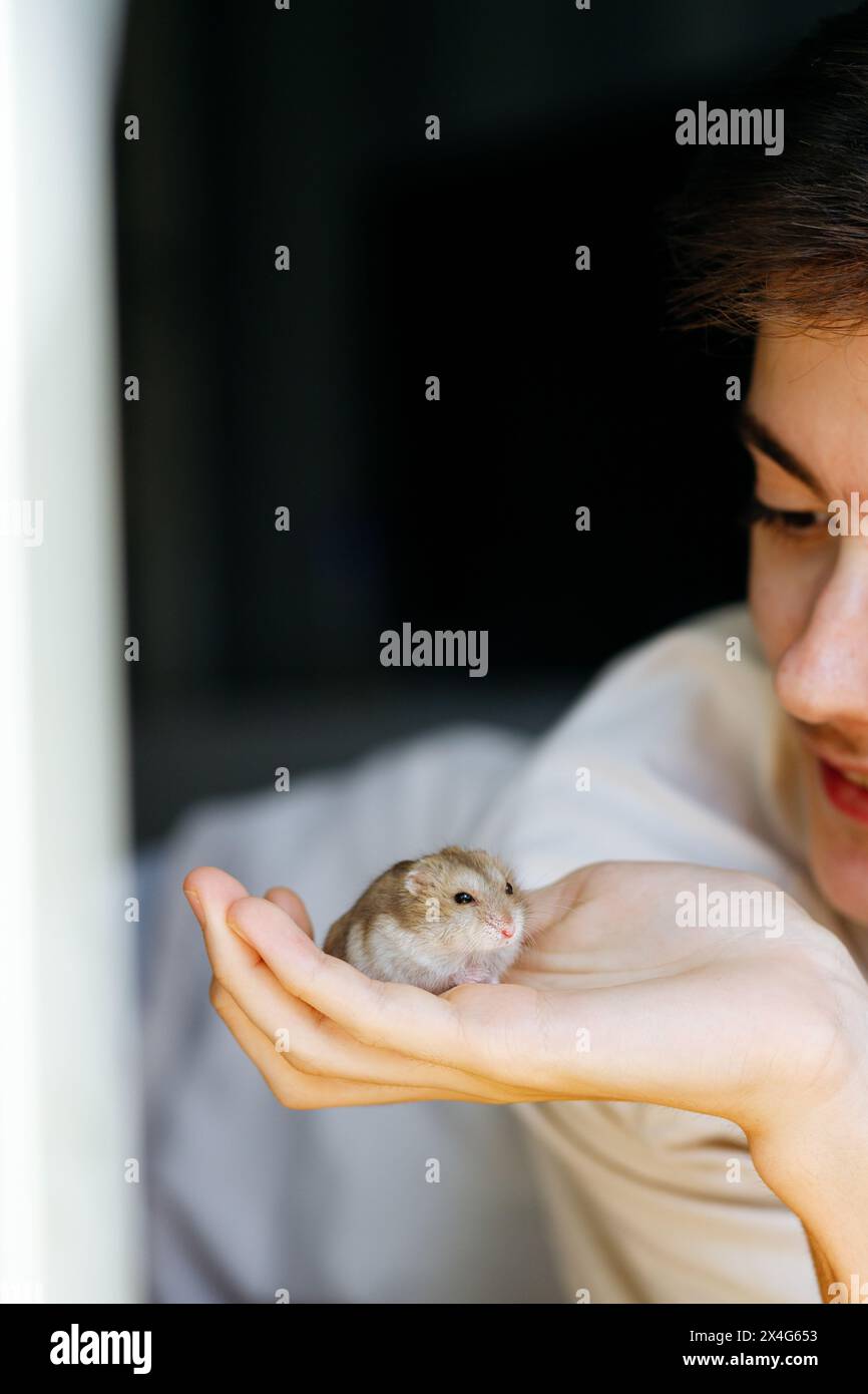 Child and hamster hi-res stock photography and images - Alamy