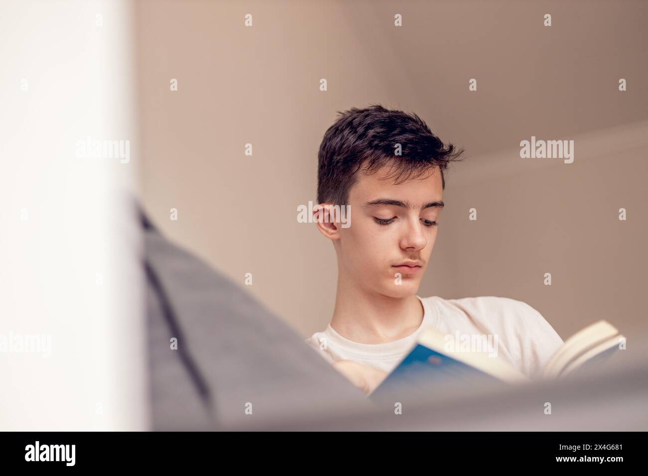 Portrait of adolescent reading the book Stock Photo - Alamy