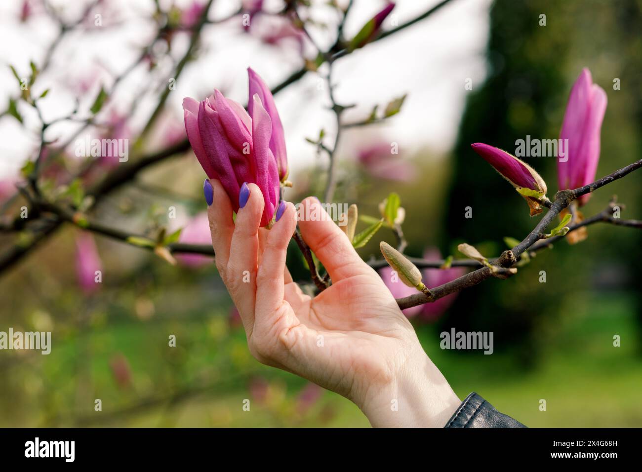 Botanical appreciation hi-res stock photography and images - Alamy