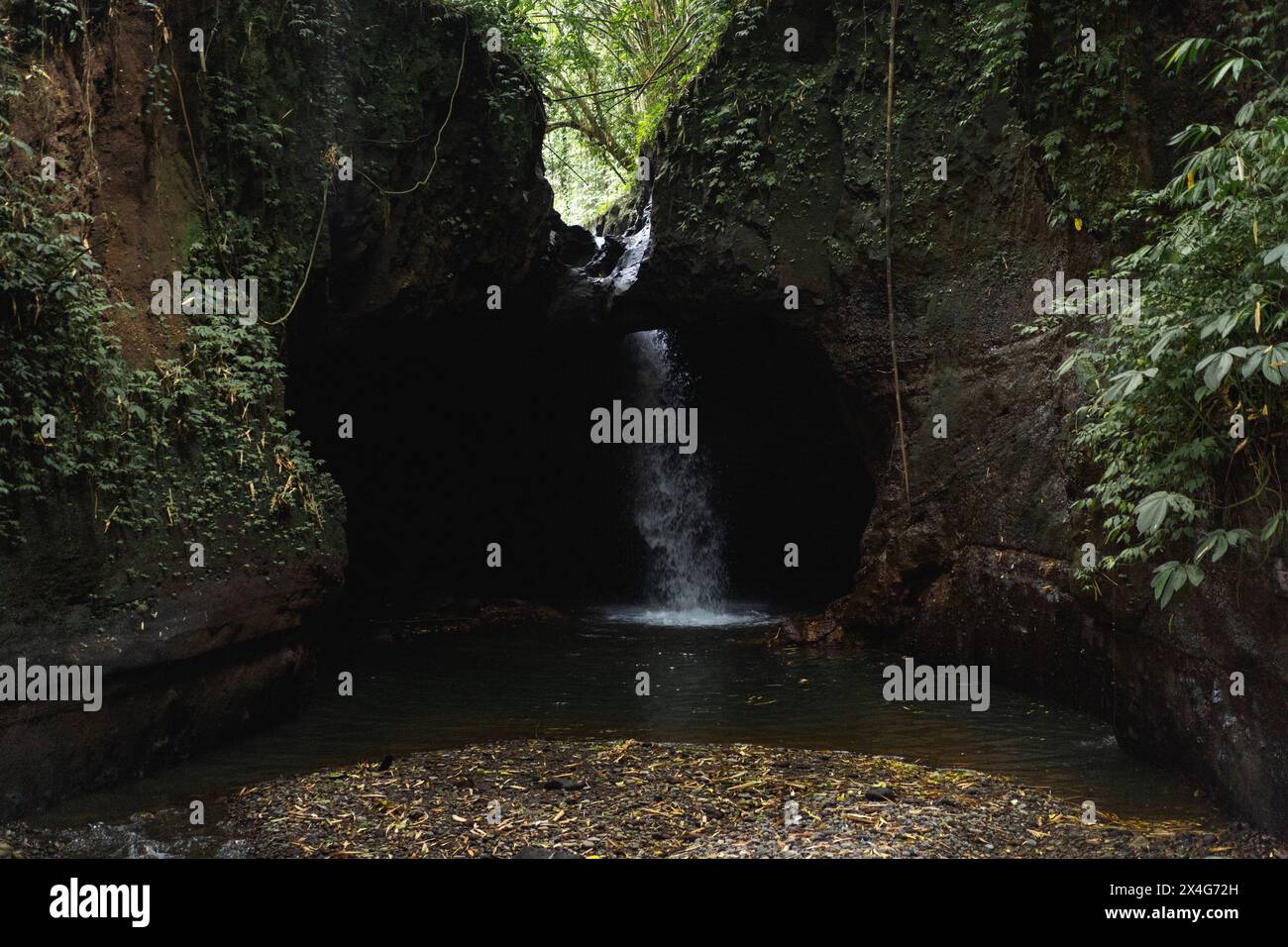 Waterfall in a cave in the jungle, Bali Stock Photo - Alamy