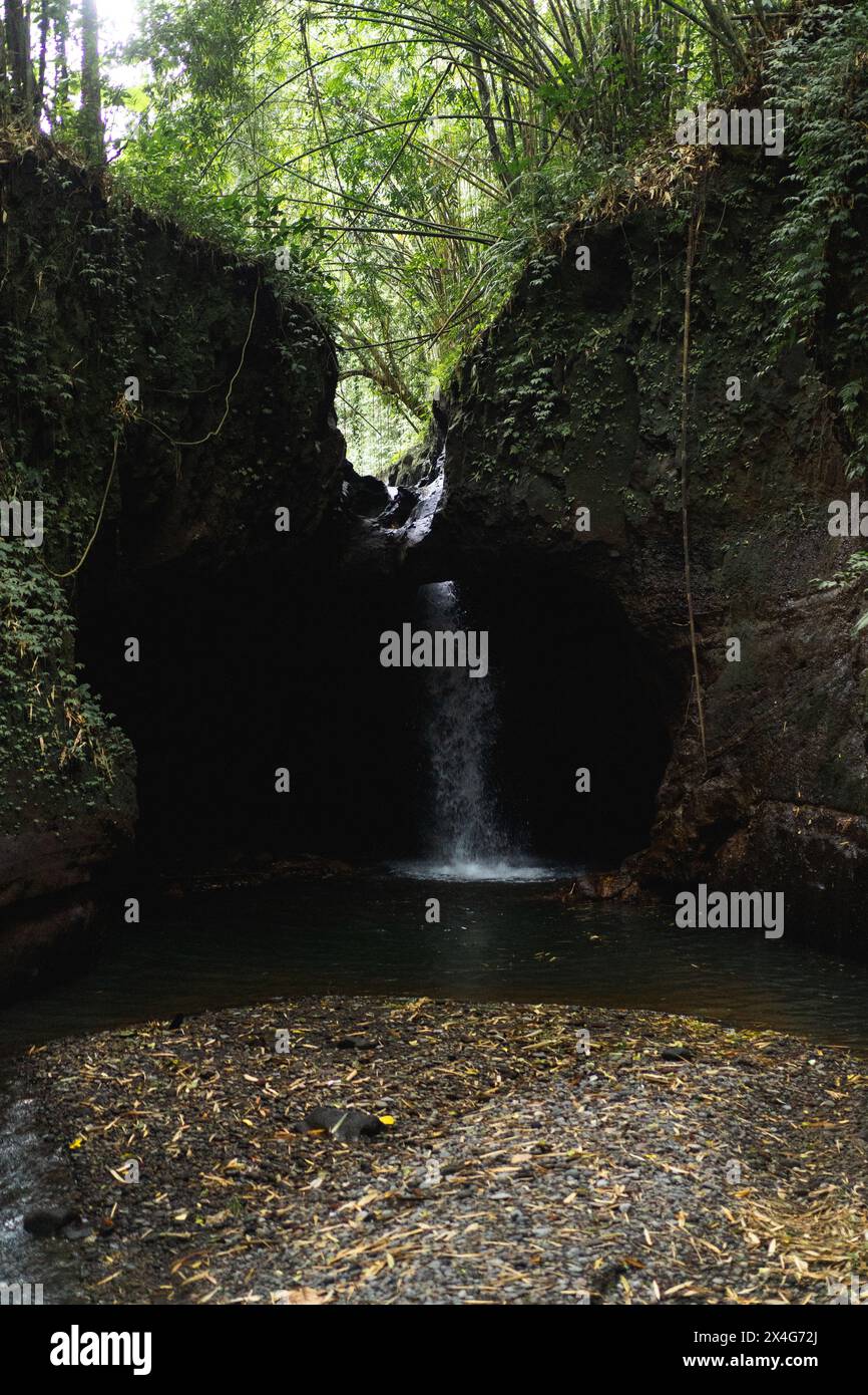 Waterfall in a cave in the jungle, Bali Stock Photo - Alamy