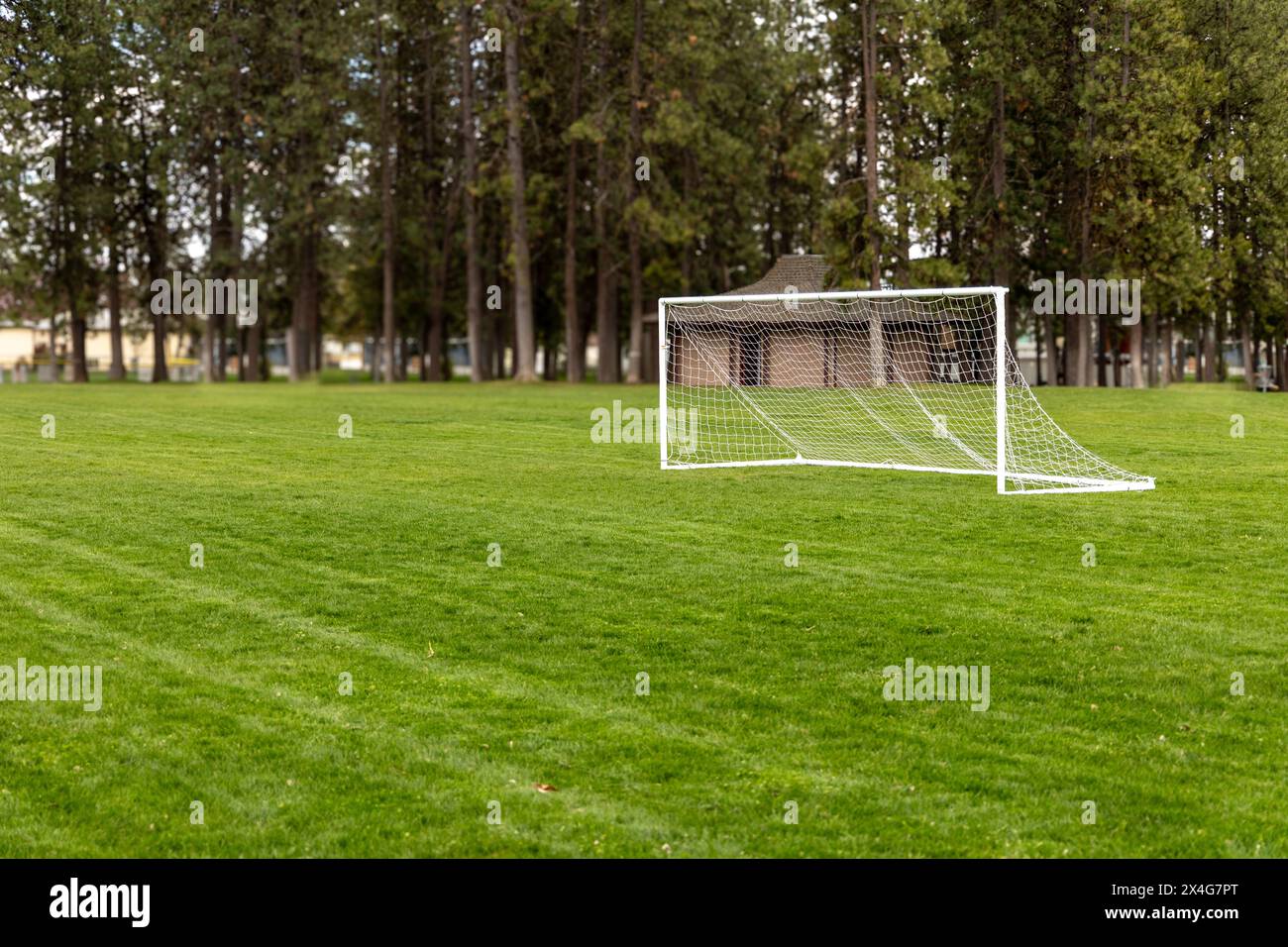 Empty soccer goal on lush green field Stock Photo - Alamy