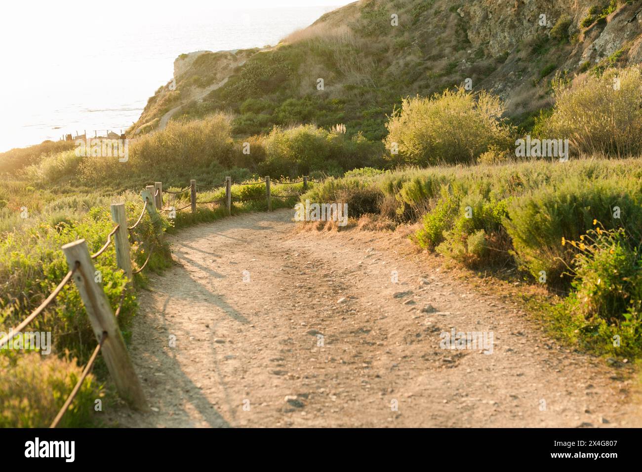 Sunlit coastal trail with wooden fences and greenery Stock Photo - Alamy