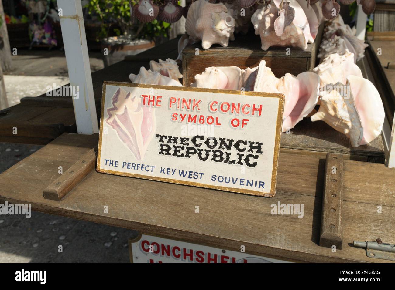 The Conch Republic Sign - Pink Shells Florida Keys - Summer Painted ...