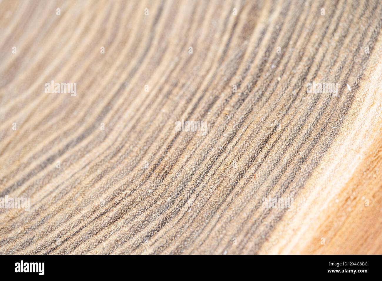 wood texture on a cut close-up Stock Photo - Alamy