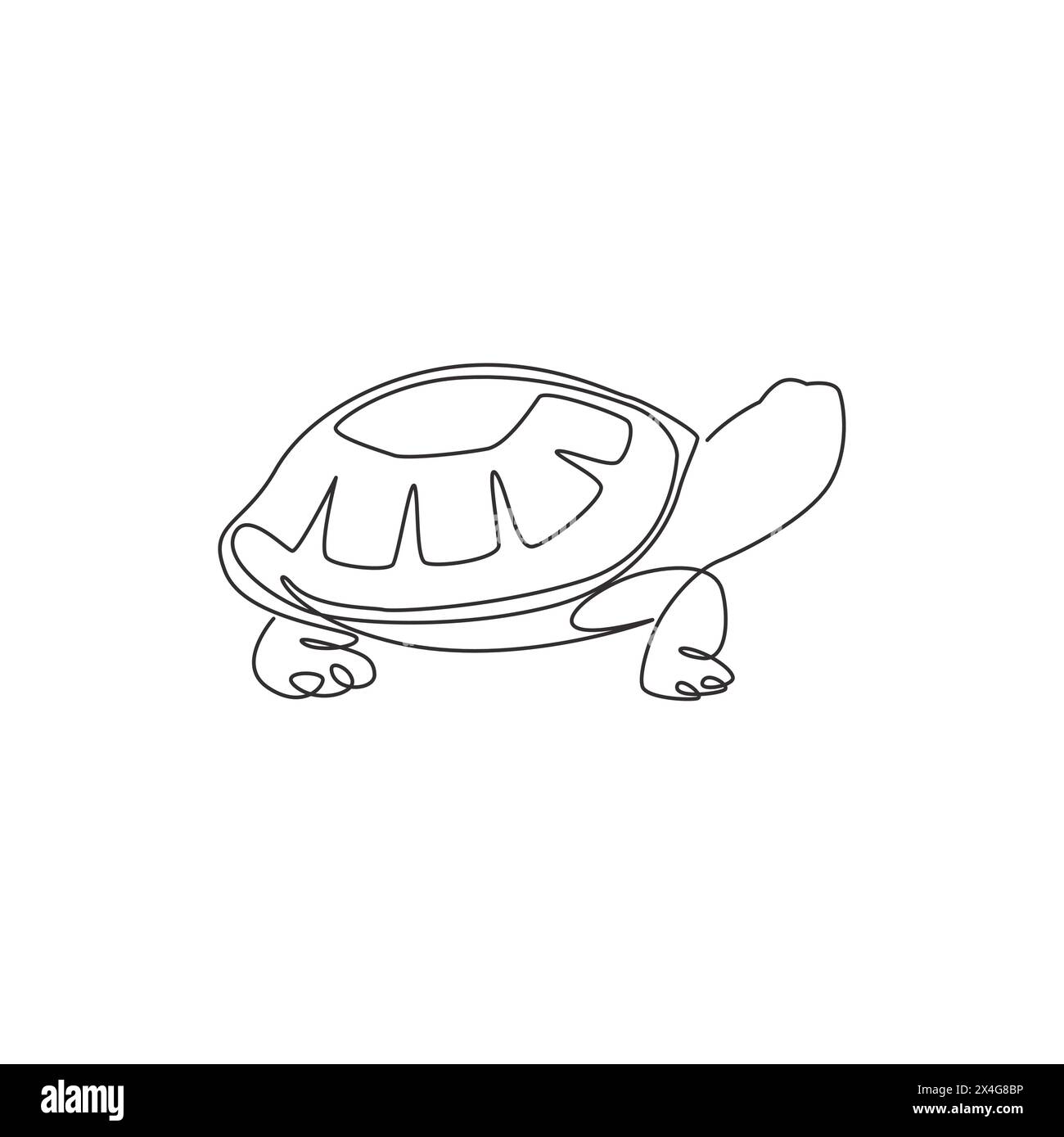 One continuous line drawing of wild desert tortoise for wildlife ...