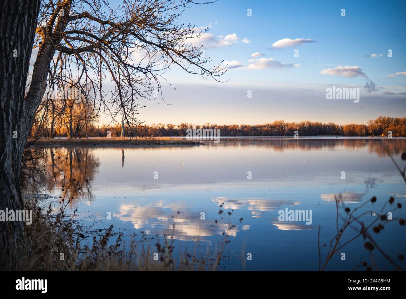 Sunrise Serenity by the Lakeside Stock Photo - Alamy