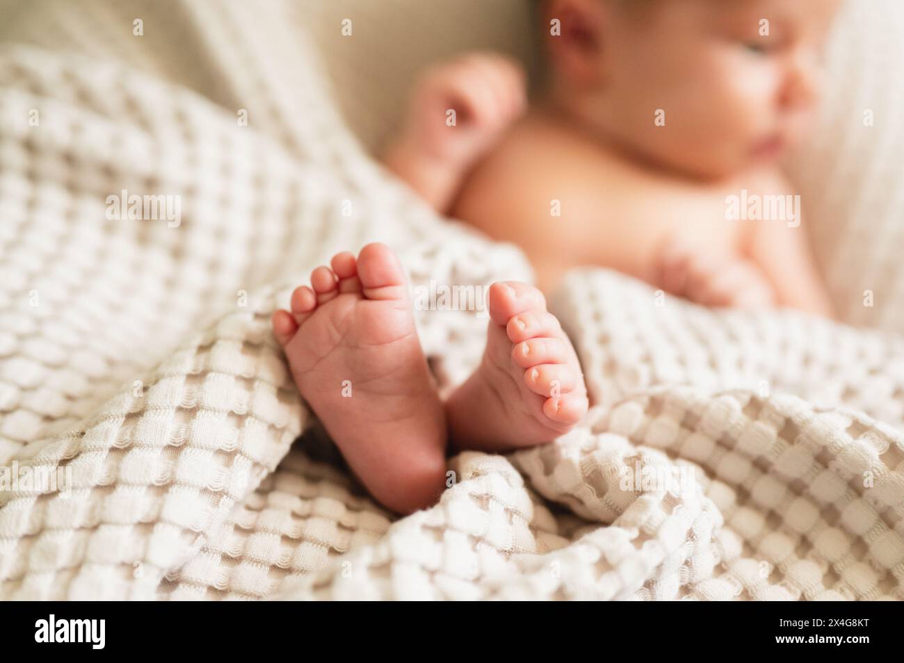 Close up of newborn baby boy's feet while wrapped in blanket Stock ...