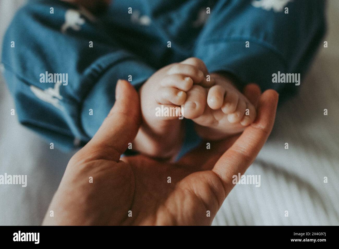 Baby’s small toes in mother’s hand Stock Photo - Alamy