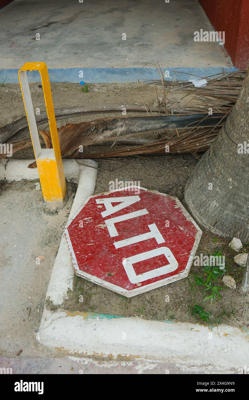 An old stop sign lies on the ground next to.a palm tree in Mexic Stock ...