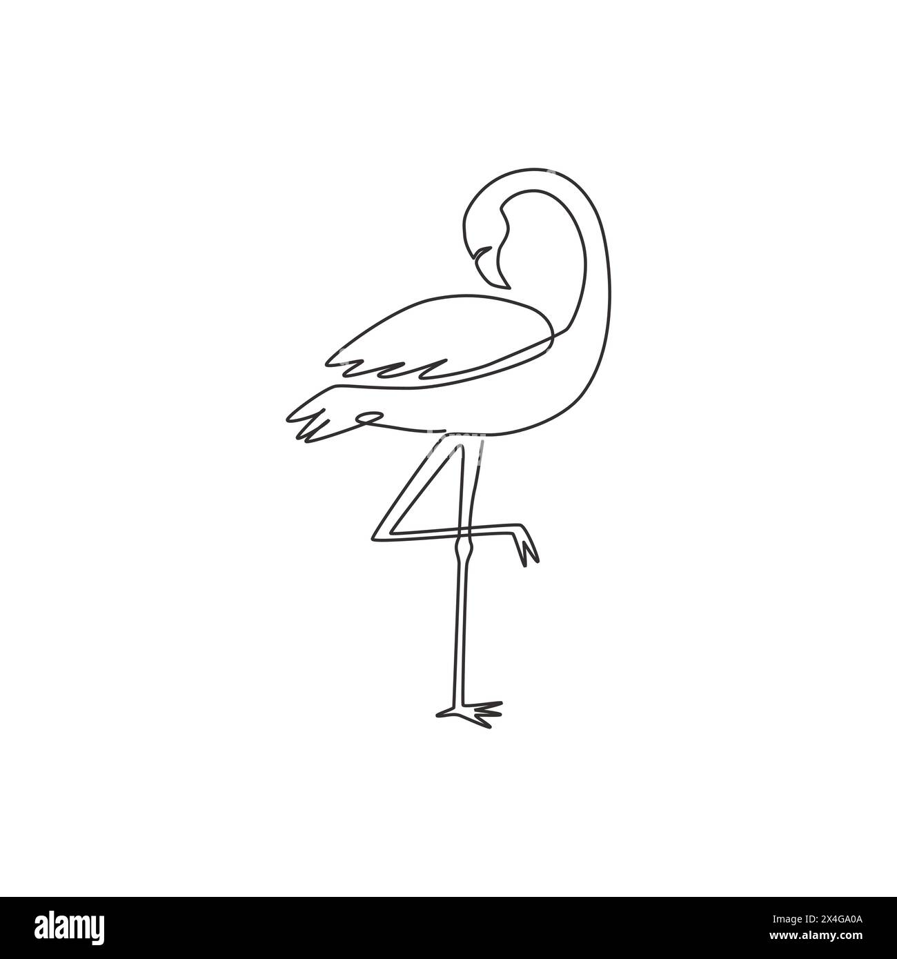 Single continuous line drawing of beautiful flamingo for national zoo ...