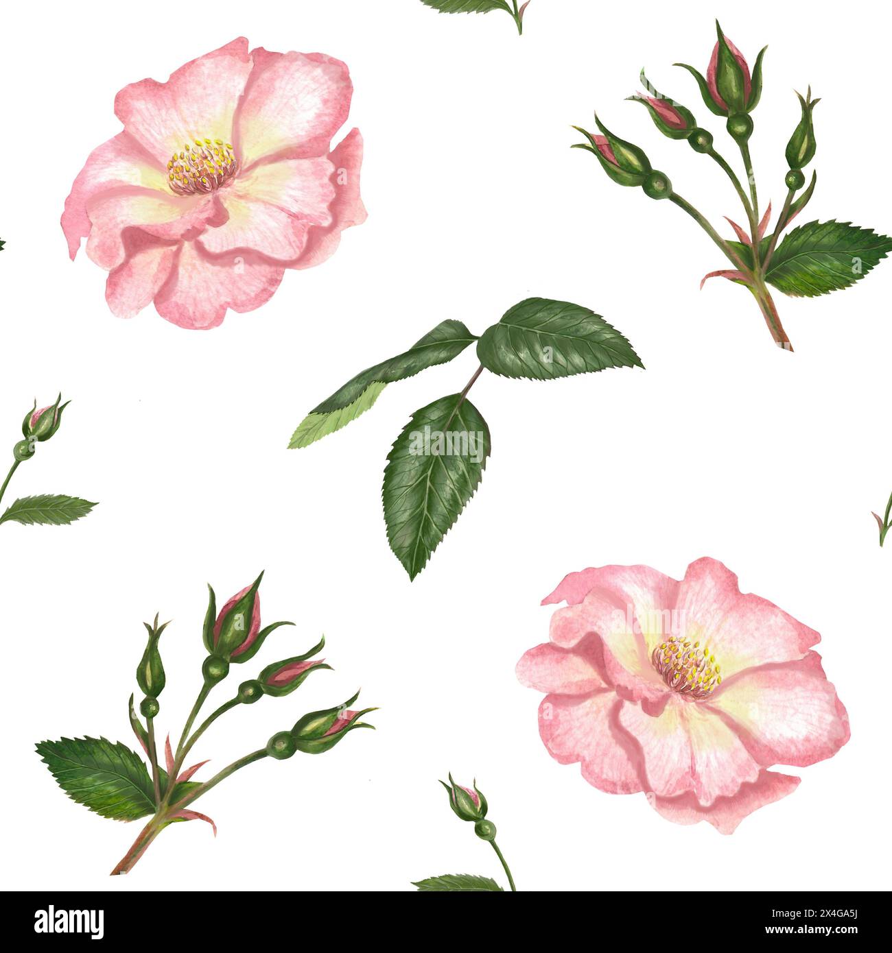Watercolor seamless pattern with rosehip, Brier leaves and branches ...