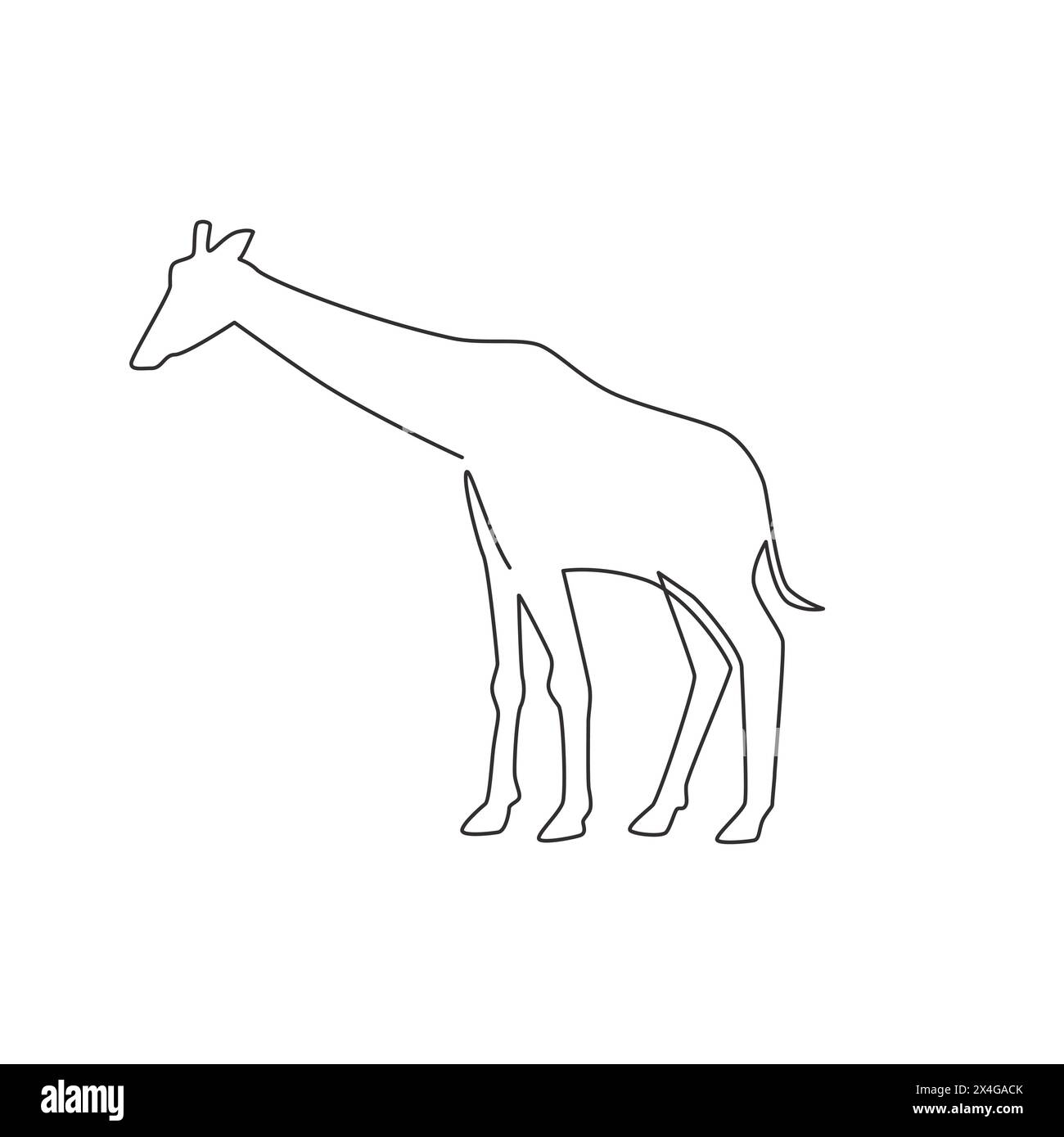 Giraffe one line drawing hi-res stock photography and images - Alamy