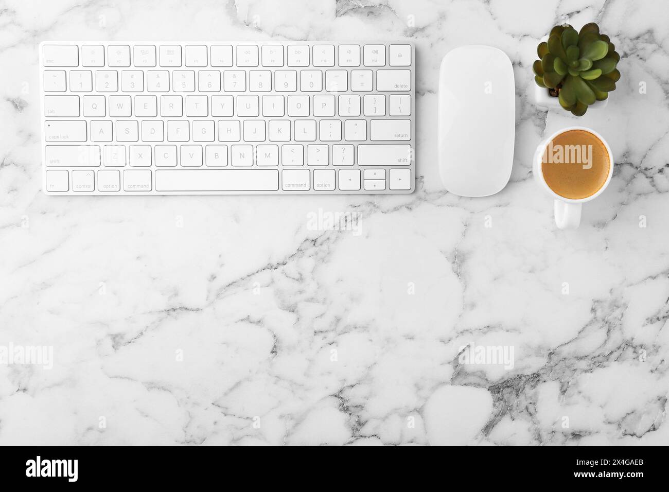 Office workplace. Keyboard, mouse, coffee and houseplant on white ...