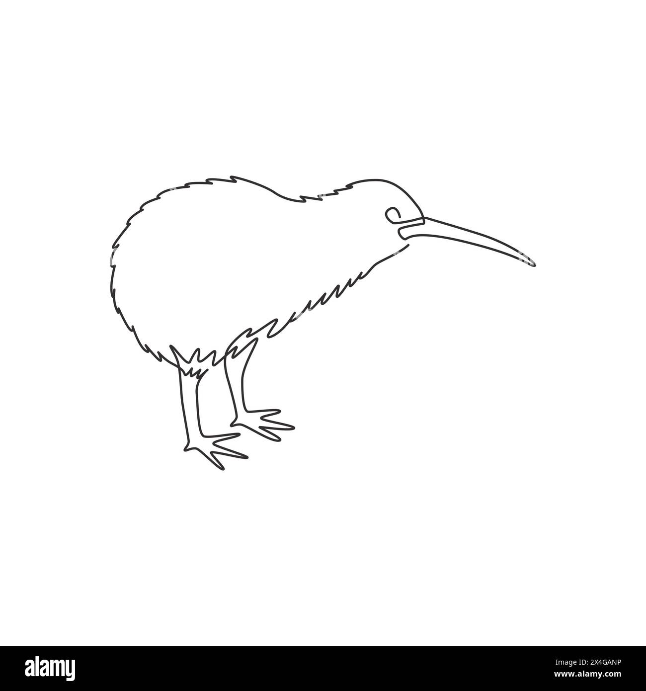 New zealand wildlife Stock Vector Images - Alamy