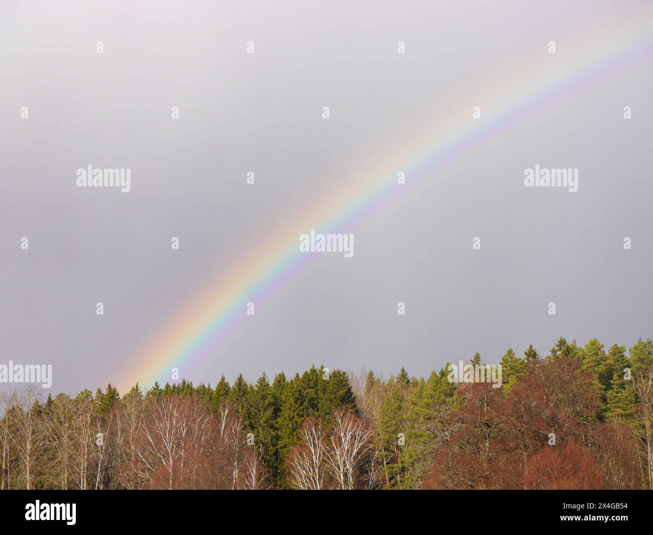 Rainbow over the forest hi-res stock photography and images - Alamy
