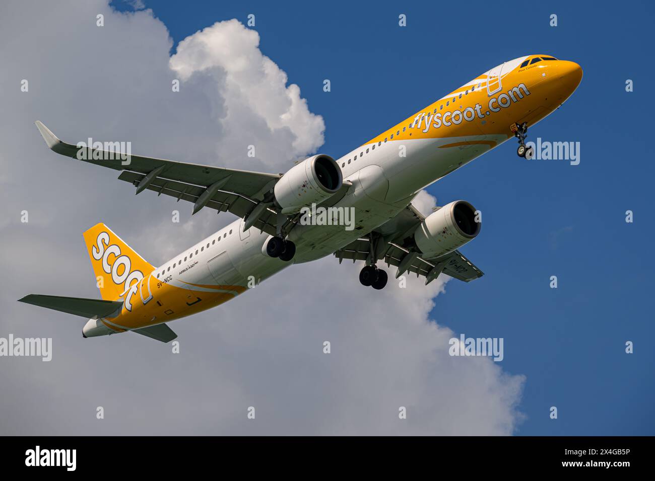 Scoot, Airbus A321neo, 9V-NCC, on final approach to Singapore Changi ...