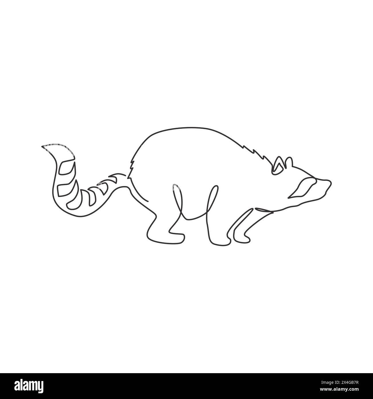 One single line drawing of lovely funny raccoon for logo identity. Cute ...
