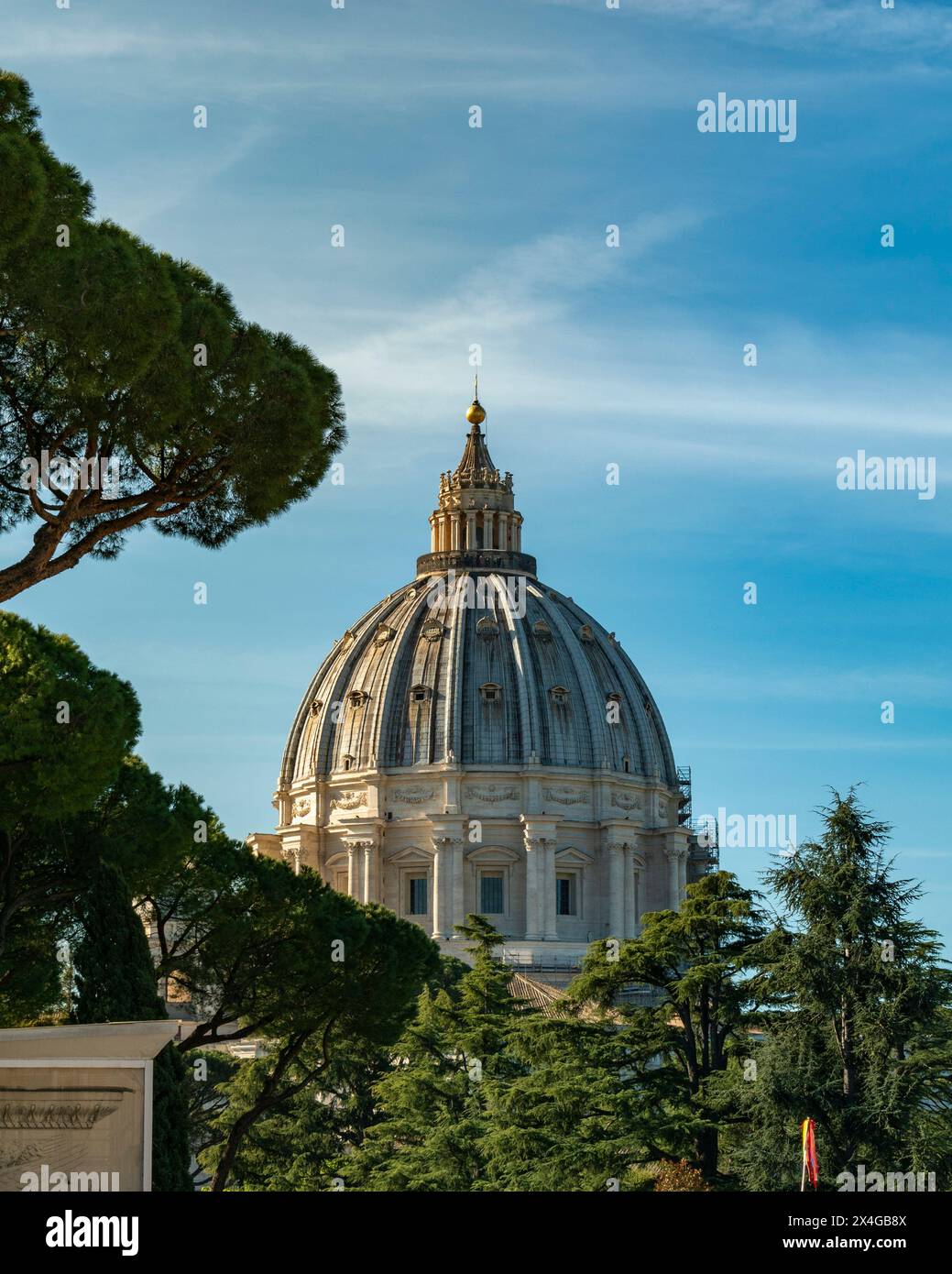 View of St. Peter's Basilica dome through trees under a clear blue sky ...