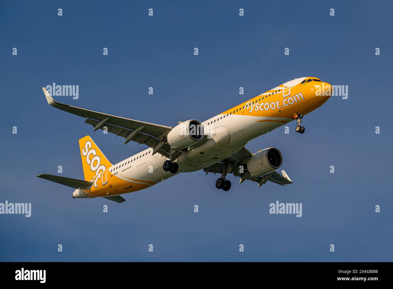 Scoot, Airbus A321neo, 9V-NCE, on final approach to Singapore Changi ...