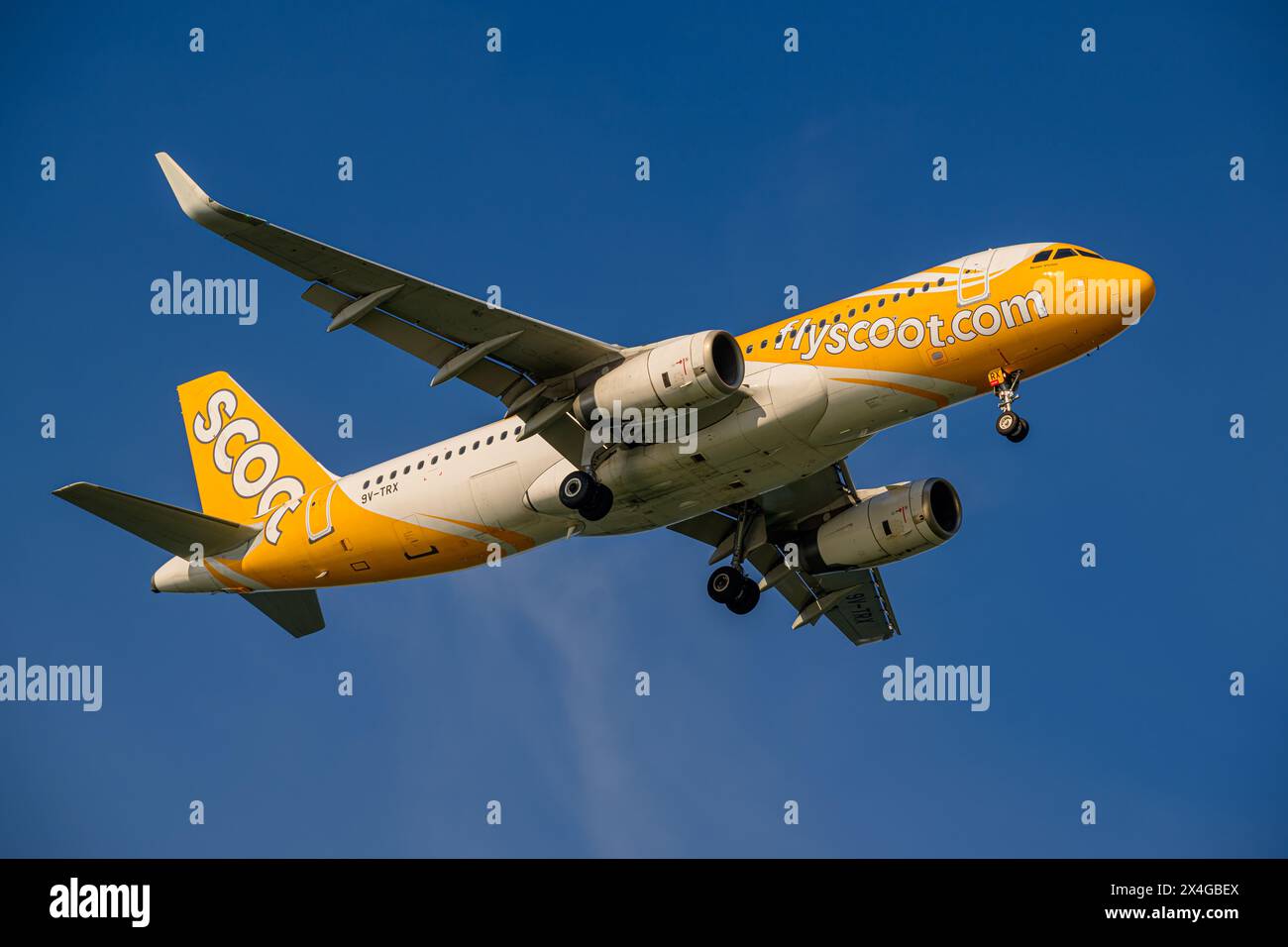 Scoot, Airbus A320-200, 9V-TRX, on final approach to Singapore Changi ...