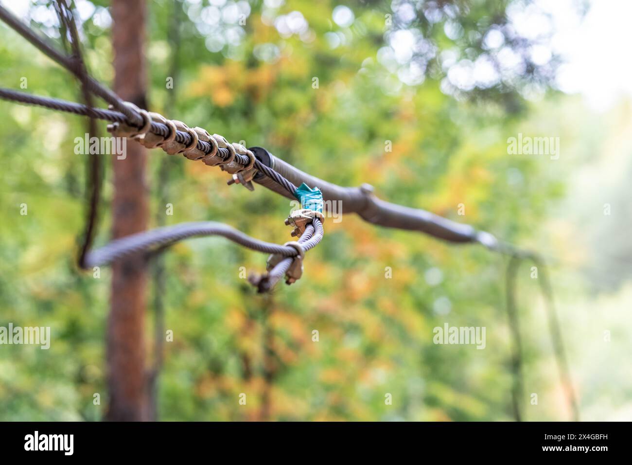 Clamping mechanisms securing a steel zip-line cable with lush foliage ...