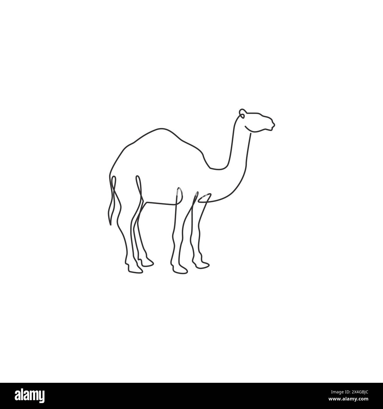 One single line drawing of strong desert Arab camel for logo identity ...