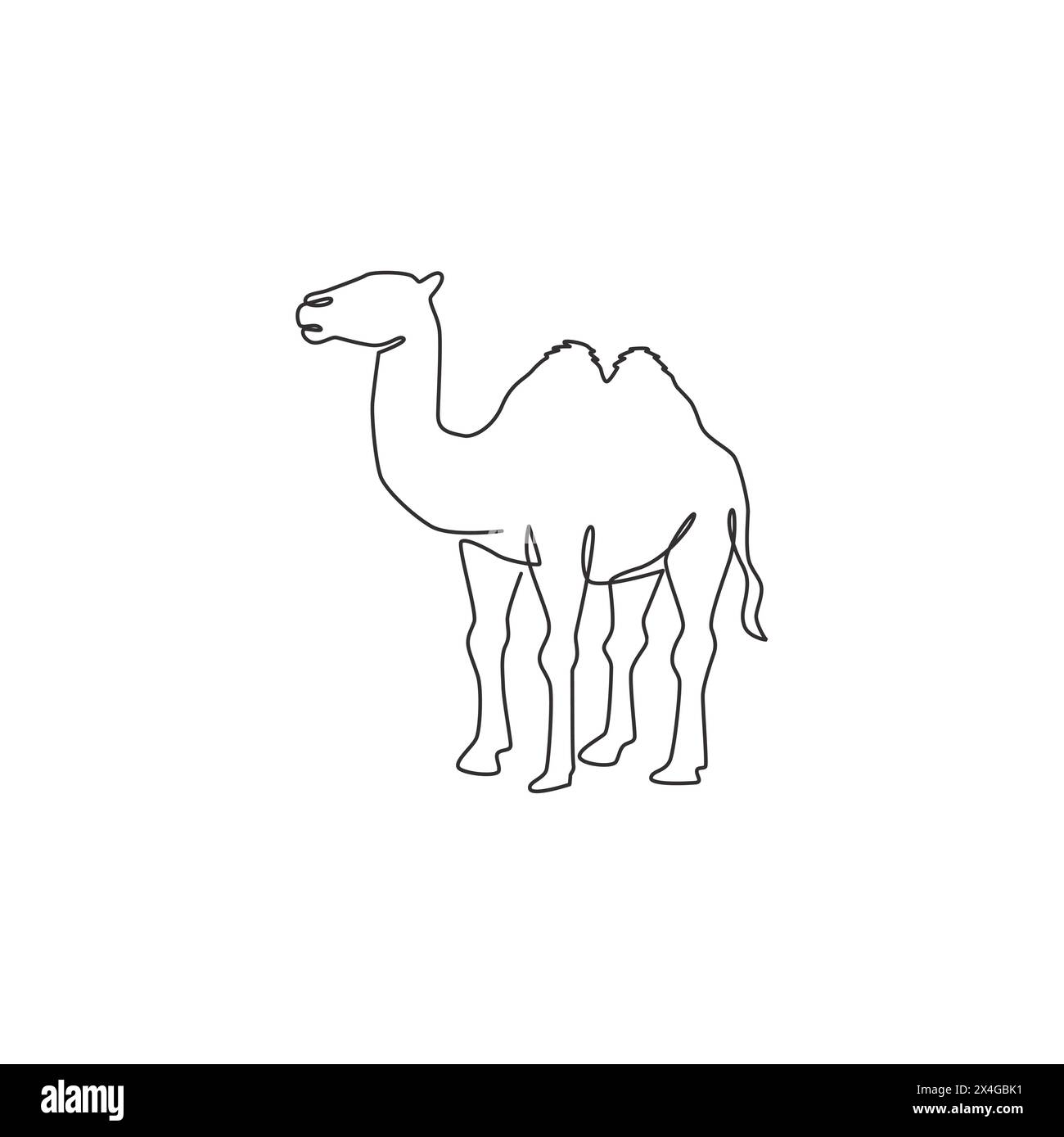 One single line drawing of desert Arabian camel for logo identity. Cute ...