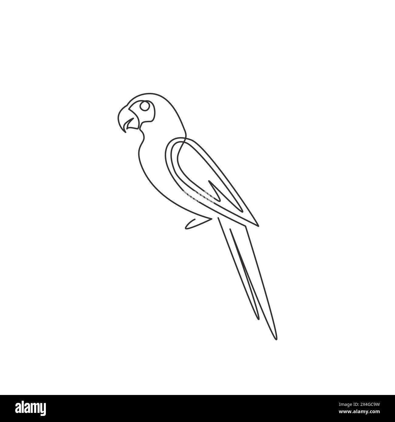 One continuous line drawing of cute parrot bird with long tail for logo ...