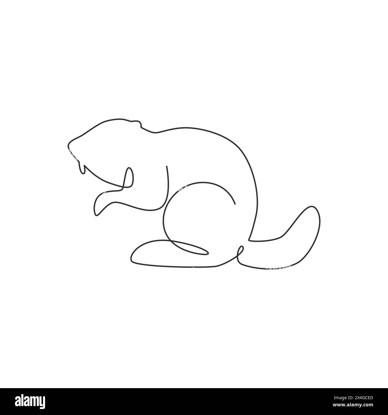 One single line drawing of funny standing beaver for logo identity ...