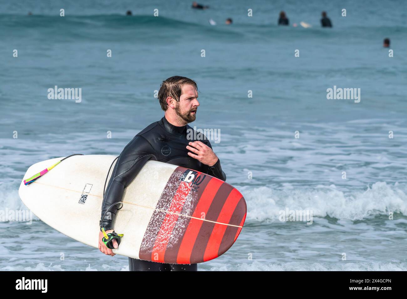 A tired surfer carrying his distinctive surfboard after a surfing ...