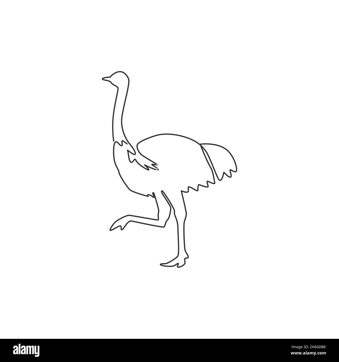 One single line drawing of giant running ostrich for logo identity ...