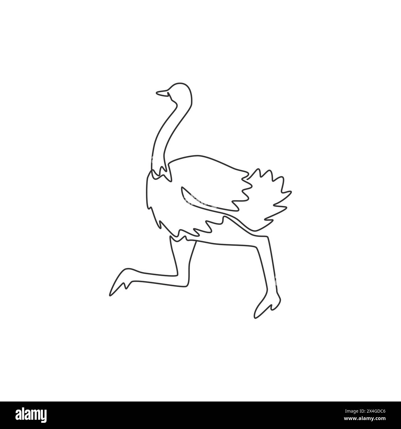 One single line drawing of giant running ostrich for logo identity ...