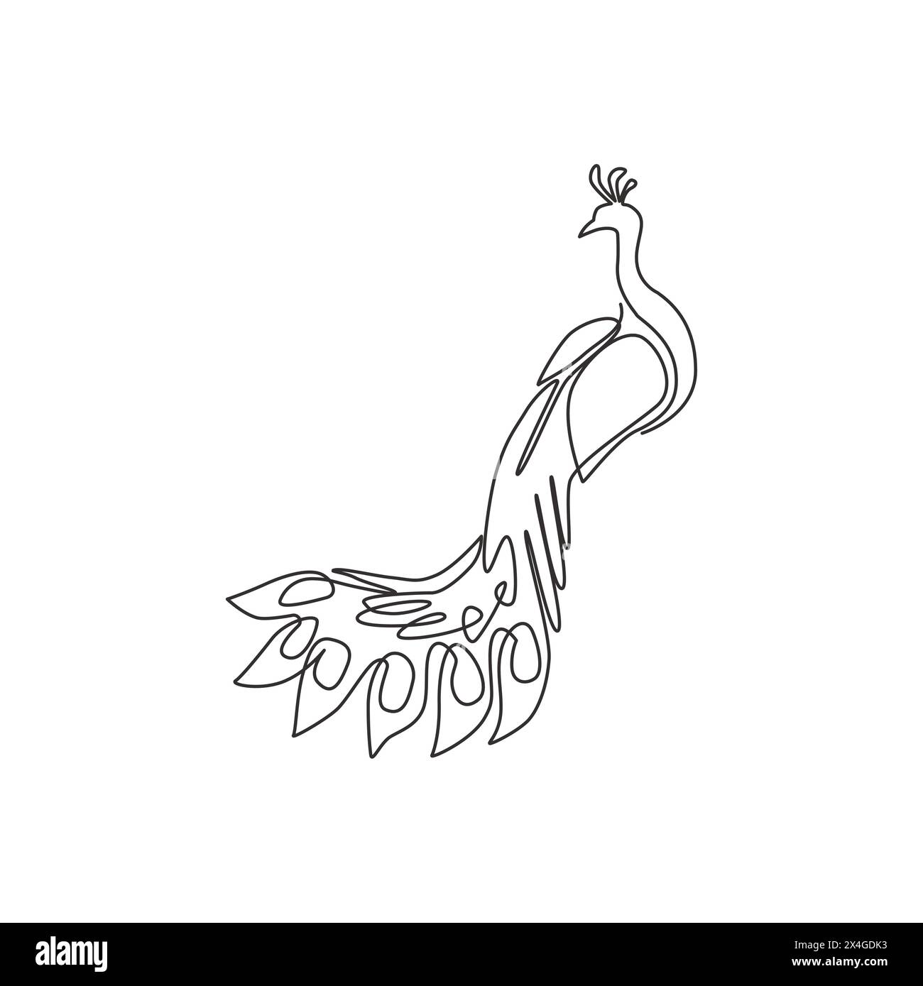 Beautiful modern large bright Stock Vector Images - Alamy