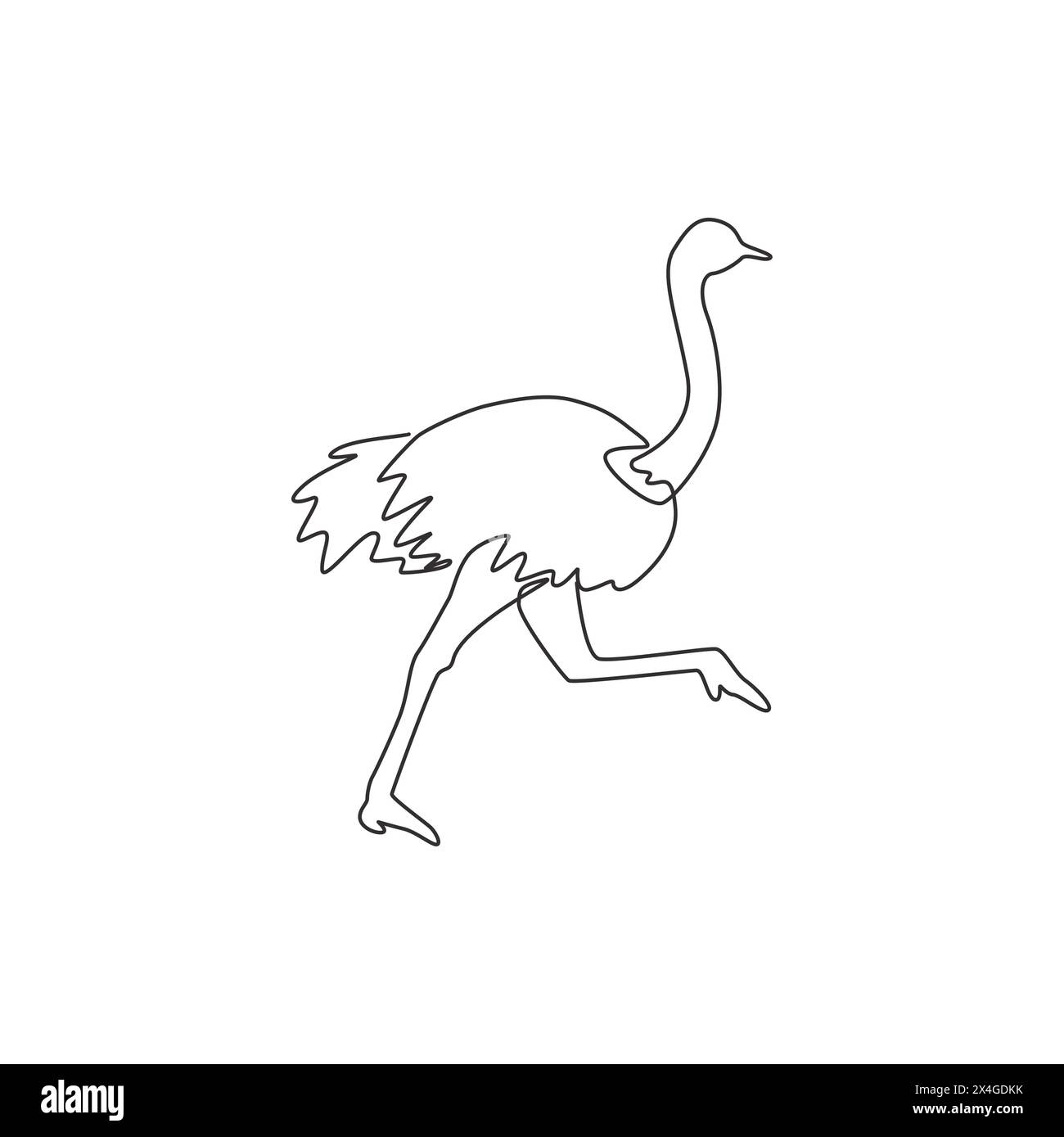 One single line drawing of giant running ostrich for logo identity ...