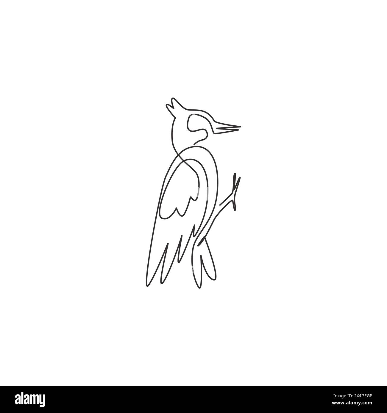 Single continuous line drawing of beauty woodpecker for company logo ...