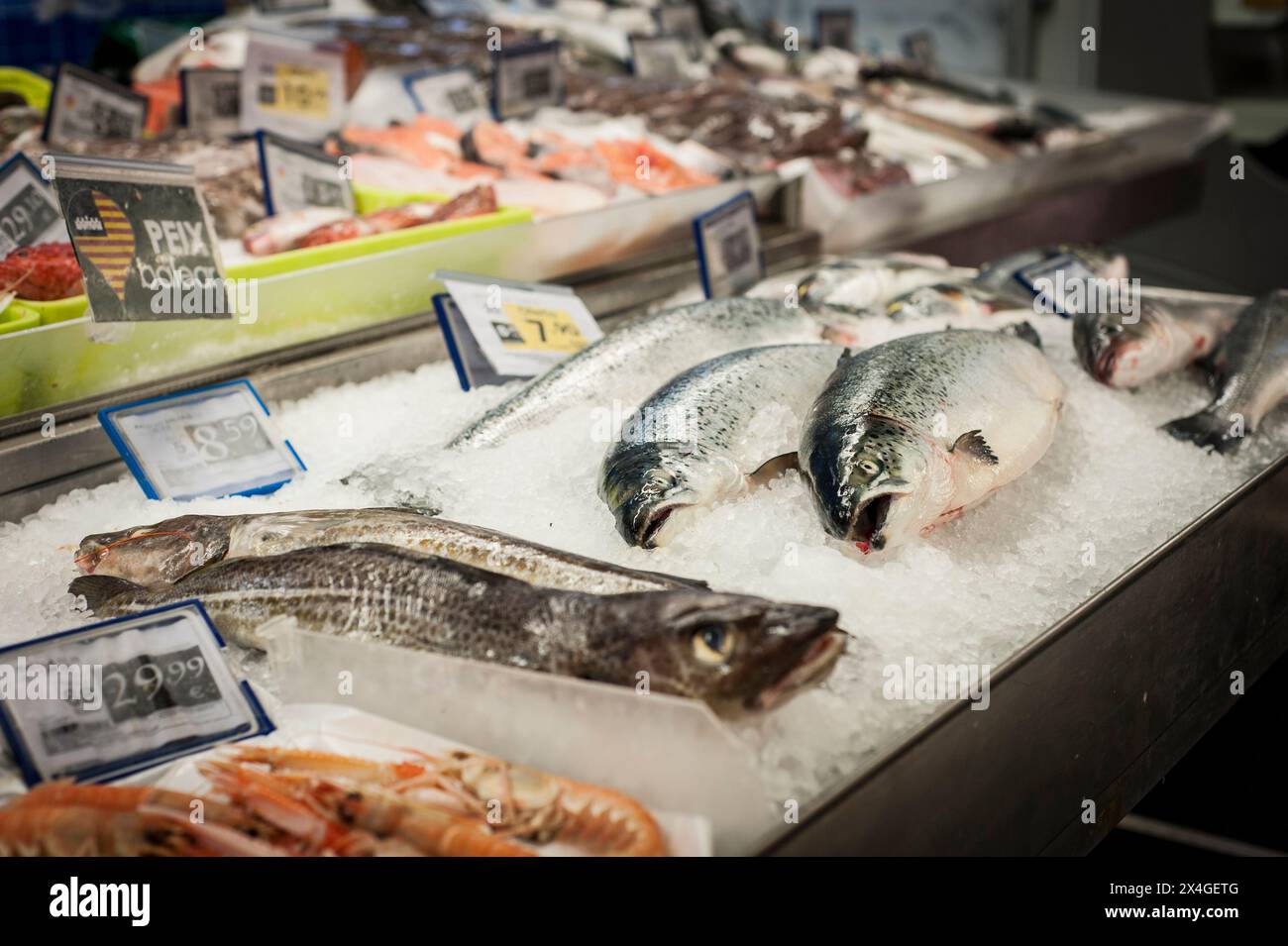 Fische in der Markthalle Stock Photo - Alamy