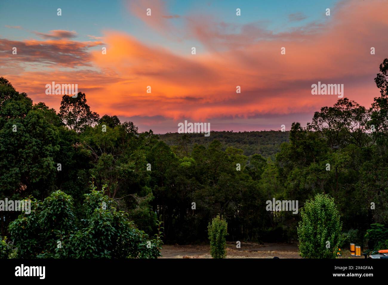 Sunset sky over the tne tree tops looking towards the valley from the ...