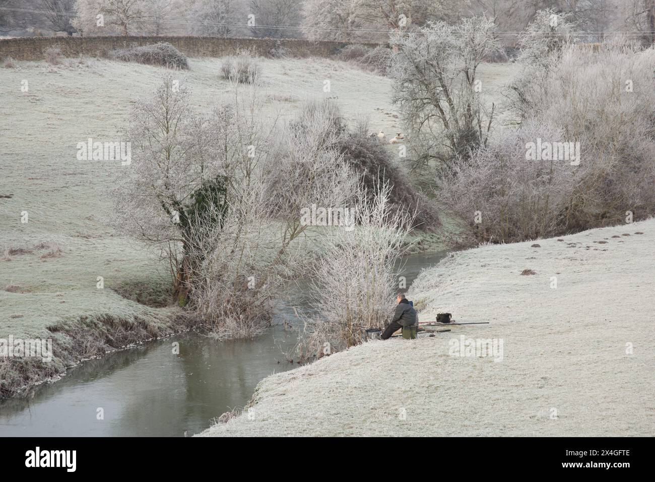A man fishing in the River Evenlode at Cornbury Park, Charlbury ...